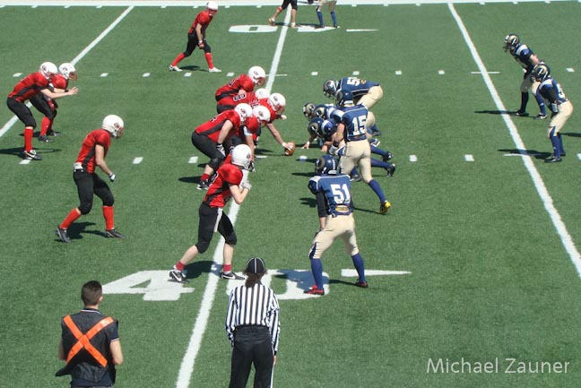 Vienna Warlords Archive - Sportreport